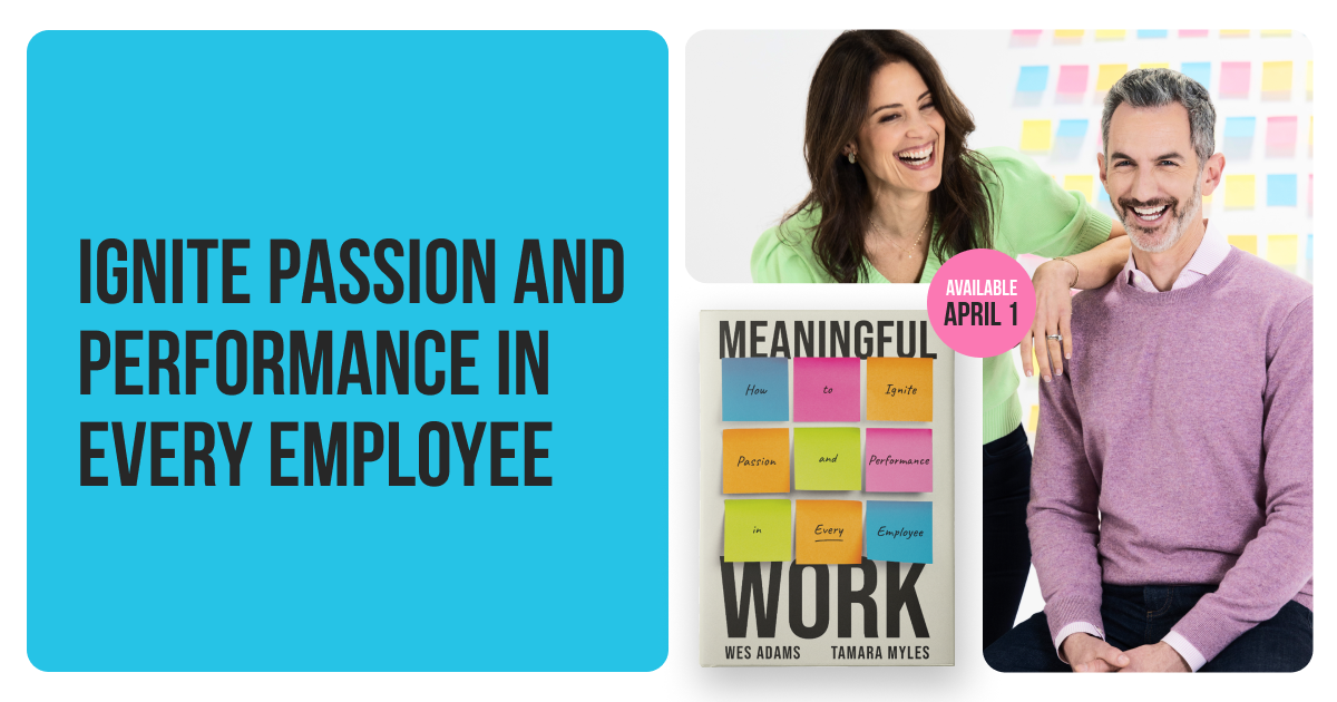 Meaningful Work: How to Ignite Passion and Performance in Every Employee
